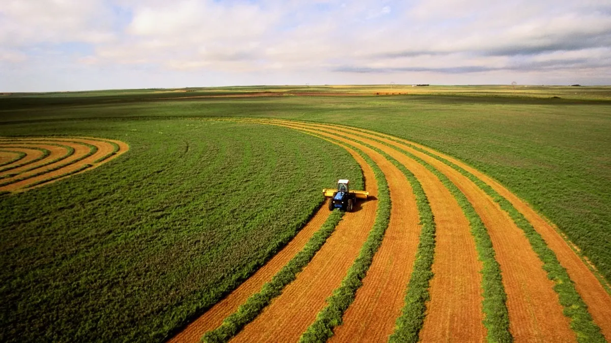 Gigantes do Agro: As Cooperativas que Movem o Brasil - AGECOOP ...